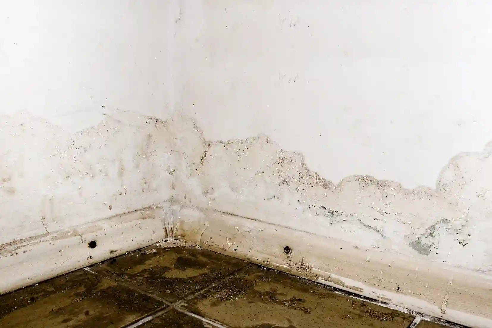 Different Types of Damp & How to Treat Them
