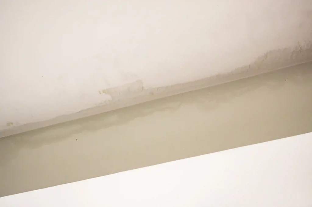 Water Leaking Through Ceiling: Causes and What to Do