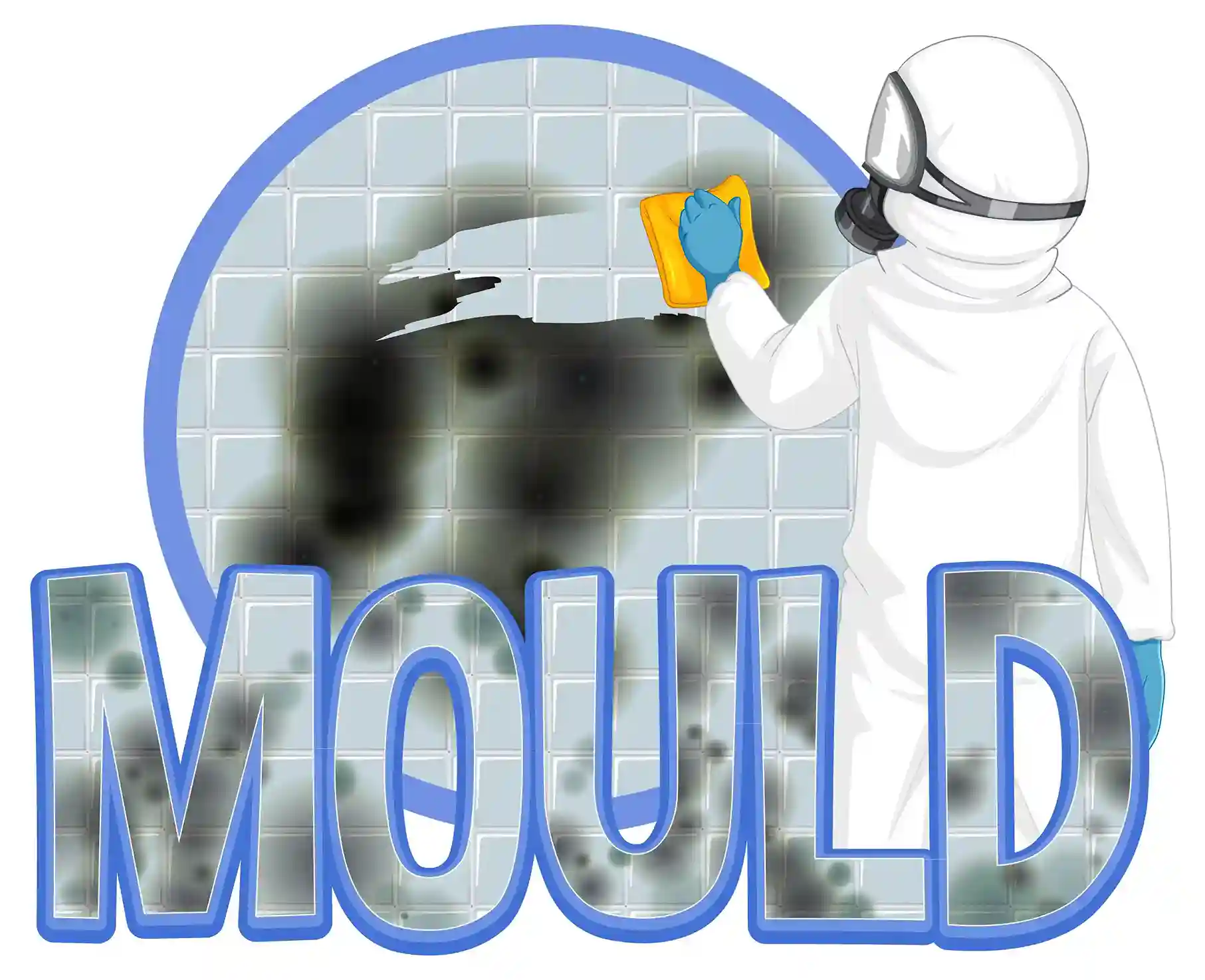Mould Toxicity Symptoms: Know the Signs and Stay Safe
