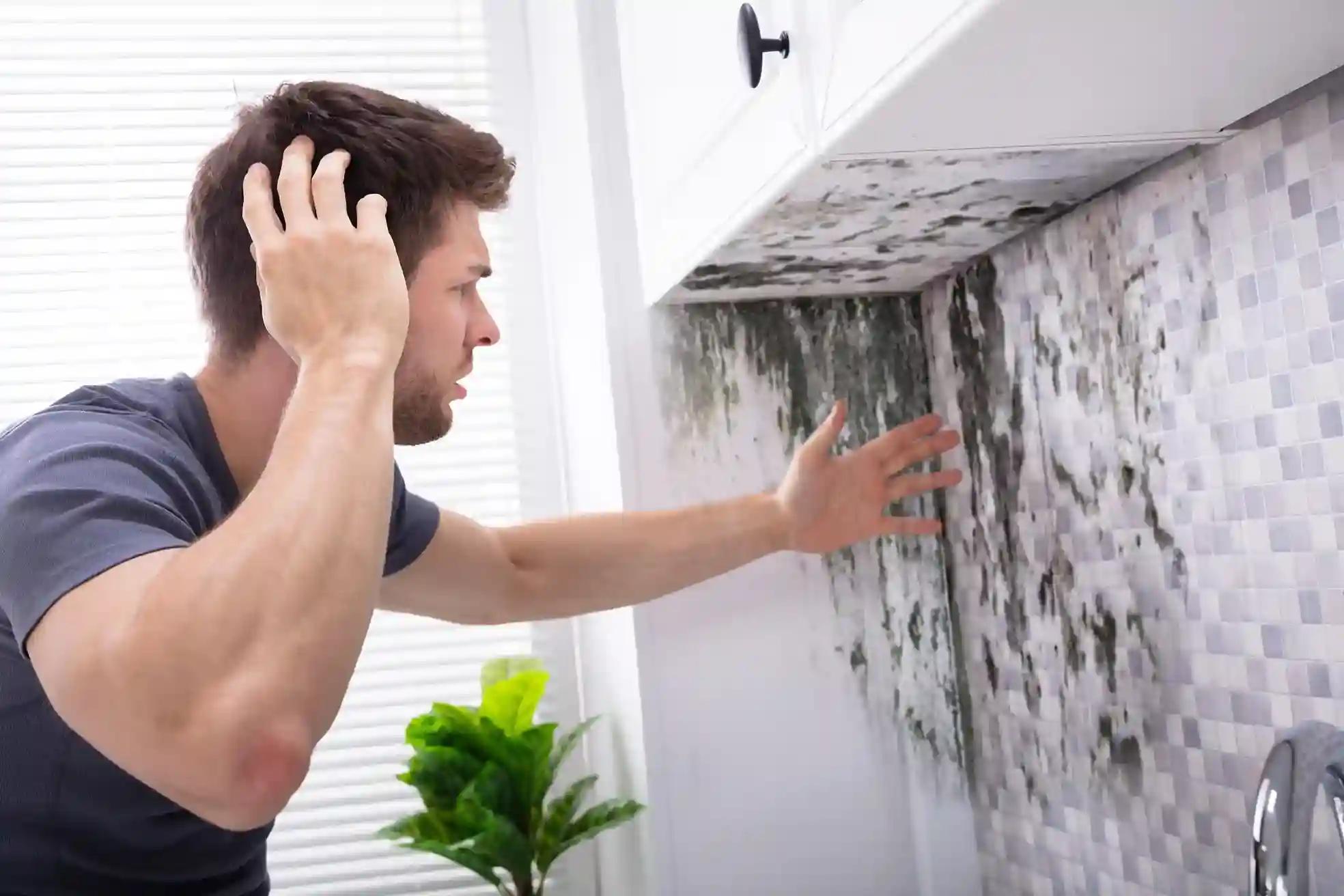 The Dangers of Mould in the Bedroom: What You Need to Know