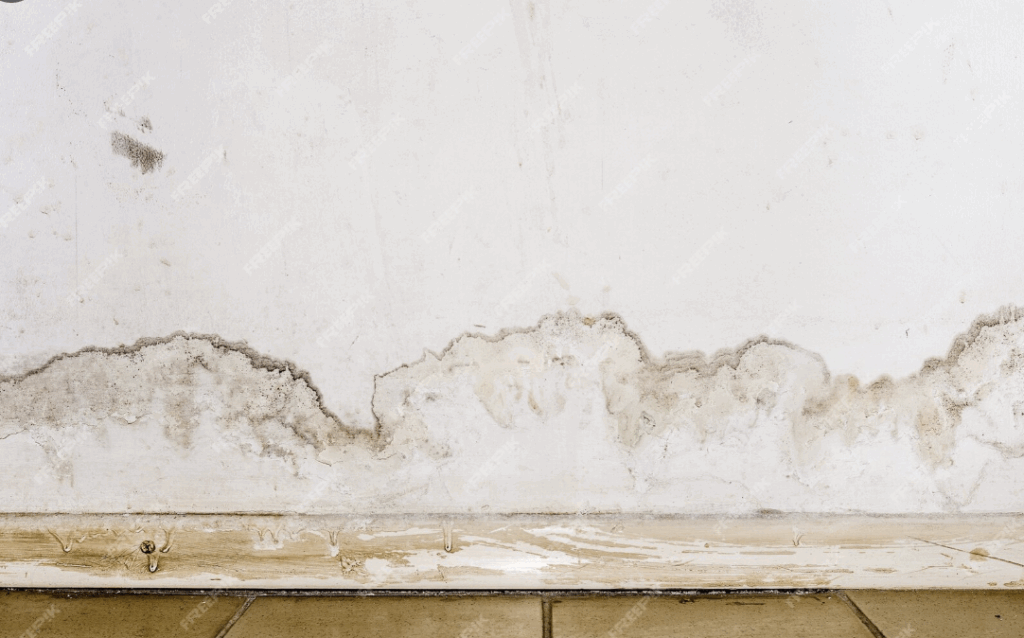 How Much Does Damp Devalue A House? 2025