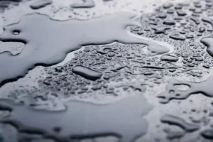 What Is Stagnant Water? Everything You Need to Know