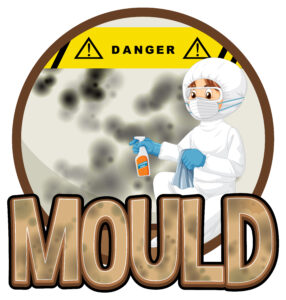 White Fluffy Mould: Causes, Risks & Removal