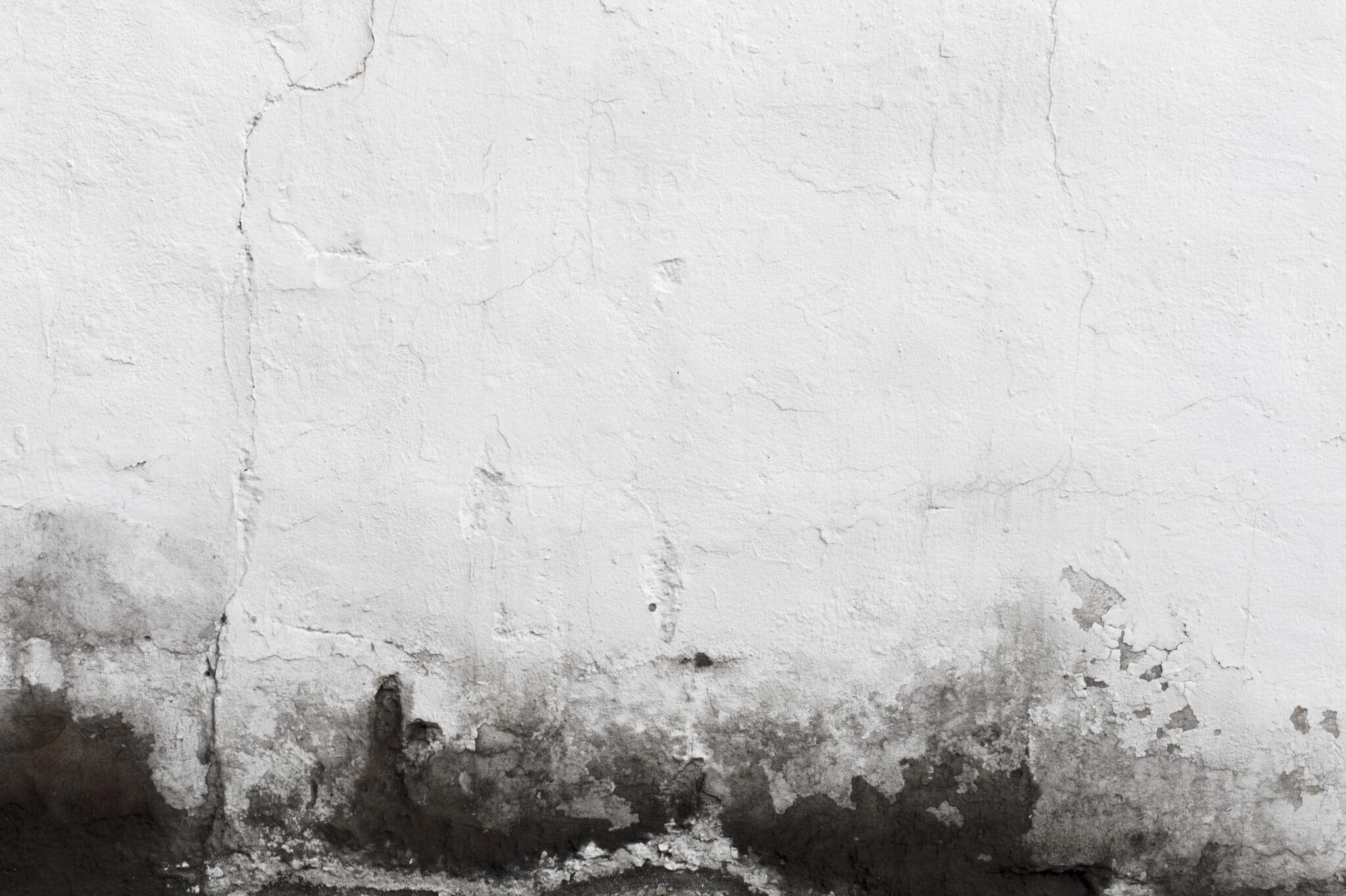 What to do if you smell damp after moving furniture