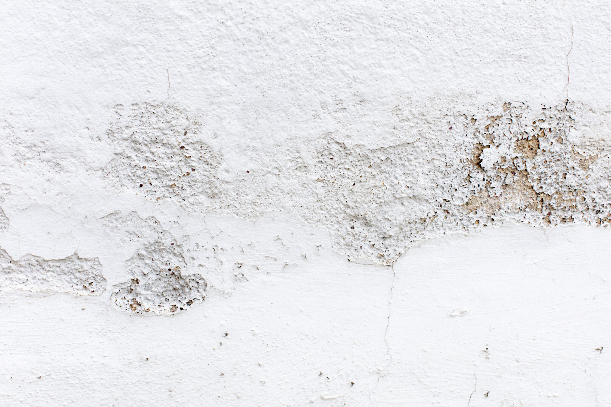 What to do if you smell damp after moving furniture